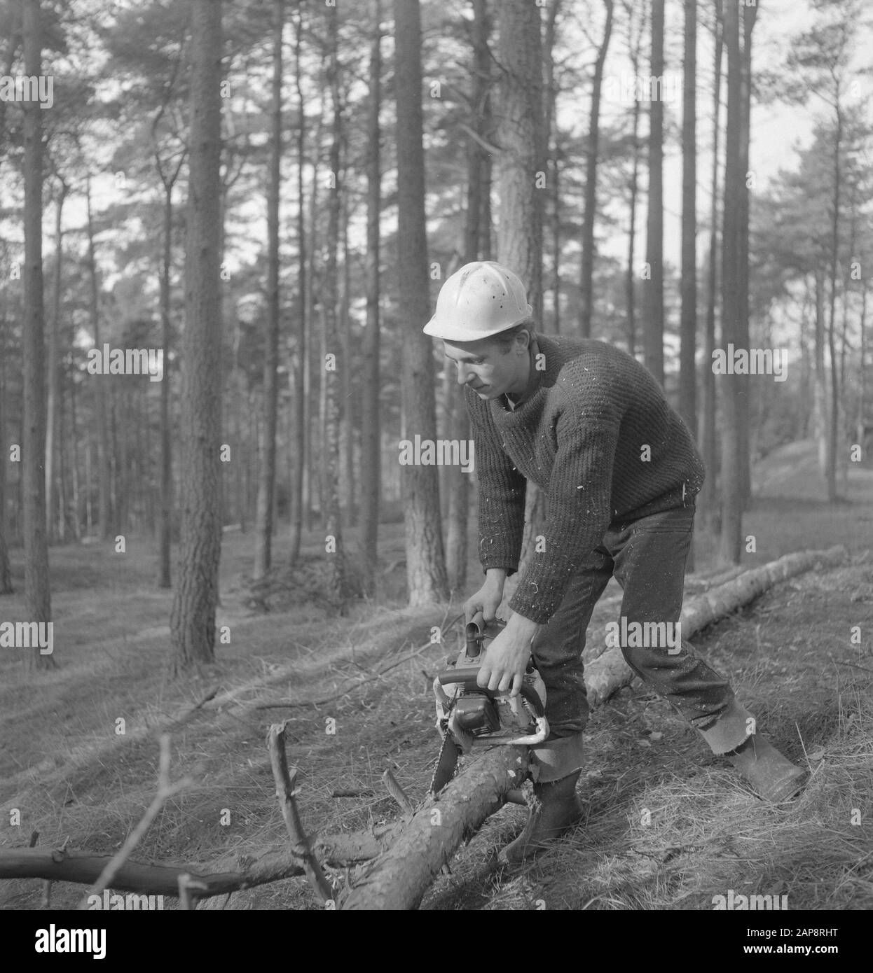 Logging deforestation clearing Black and White Stock Photos & Images ...