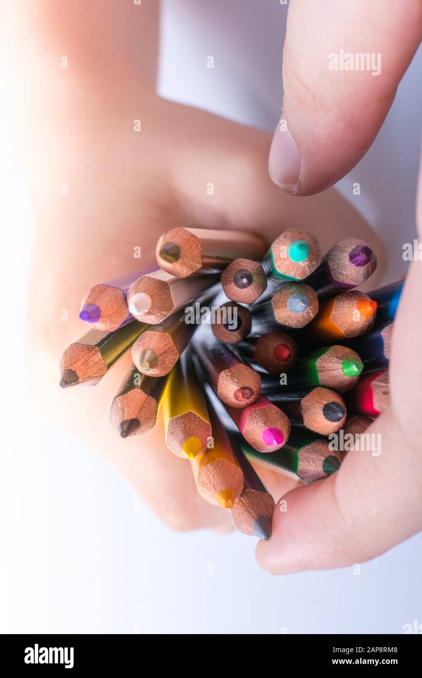 Hand holding color Pencils placed on a white background Stock Photo - Alamy