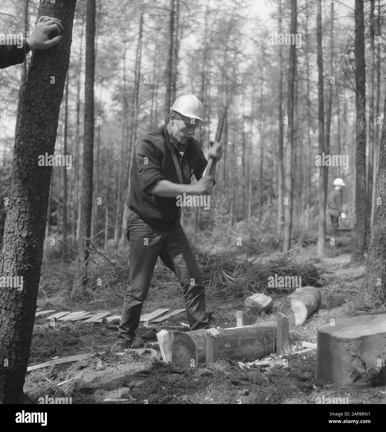 forestry, workers, tools, work Date: undated Keywords: workers ...