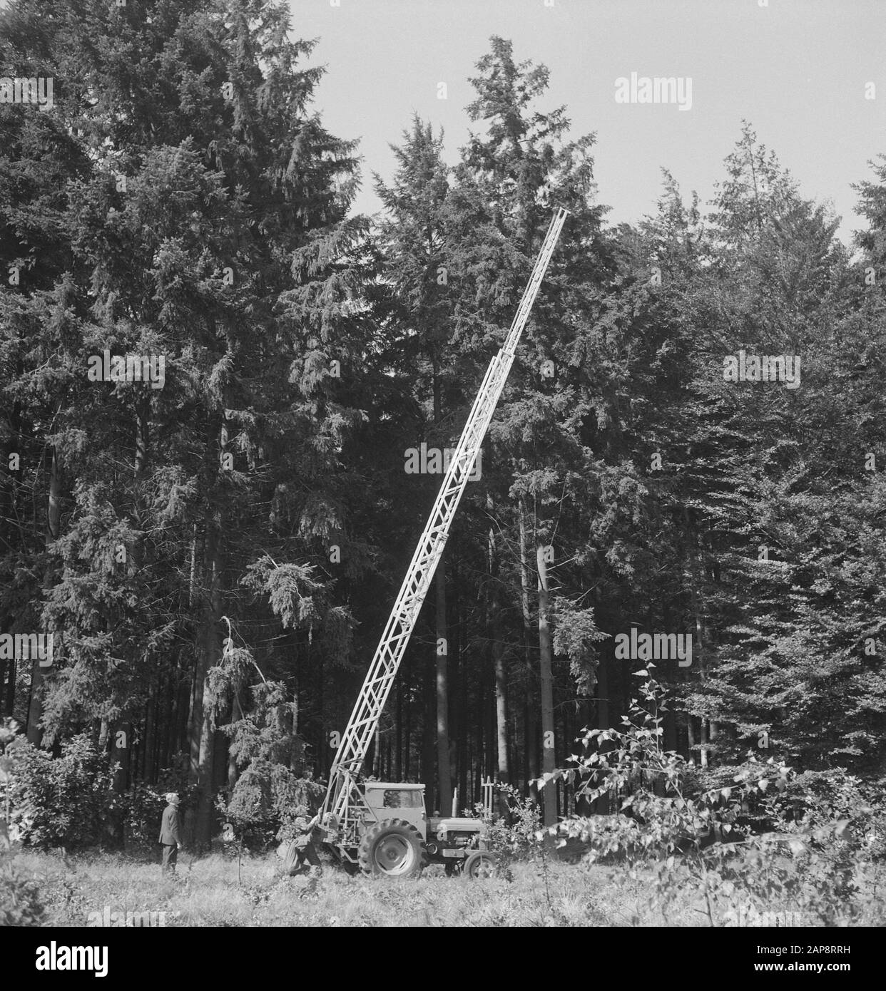 forestry, agricultural machinery, tools, ladders, workers, work ...