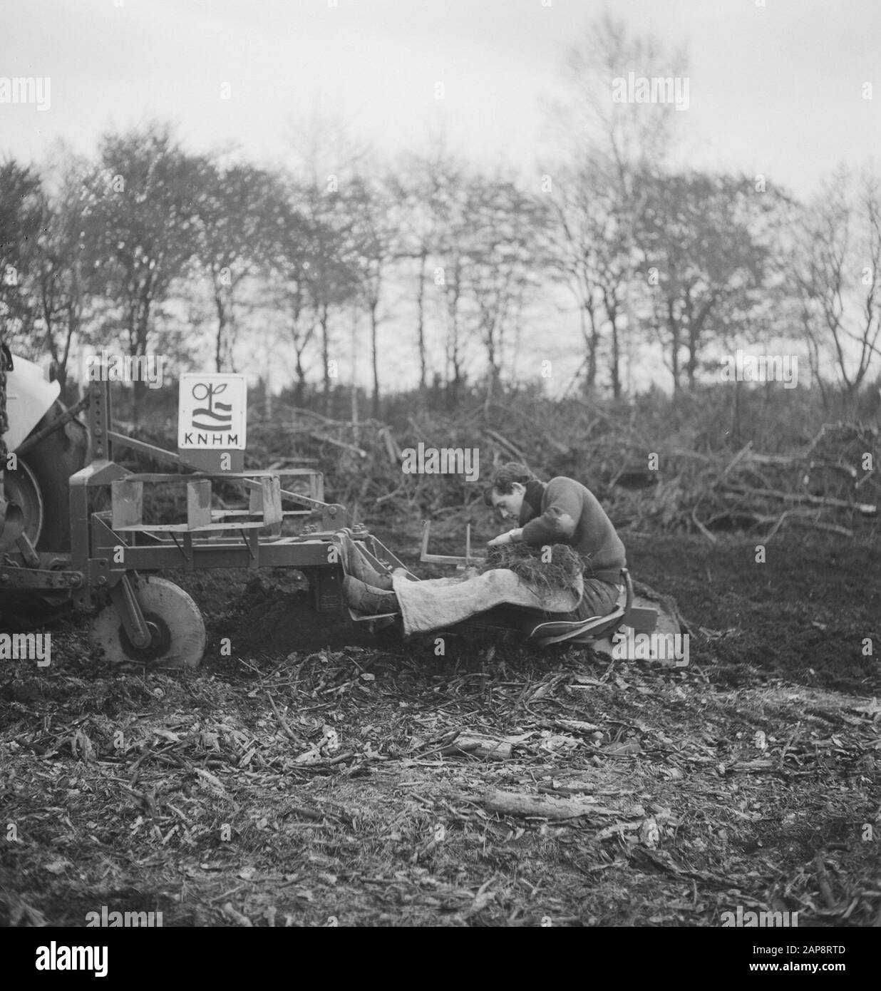 forestry, workers, planting work, agricultural machinery, tools ...