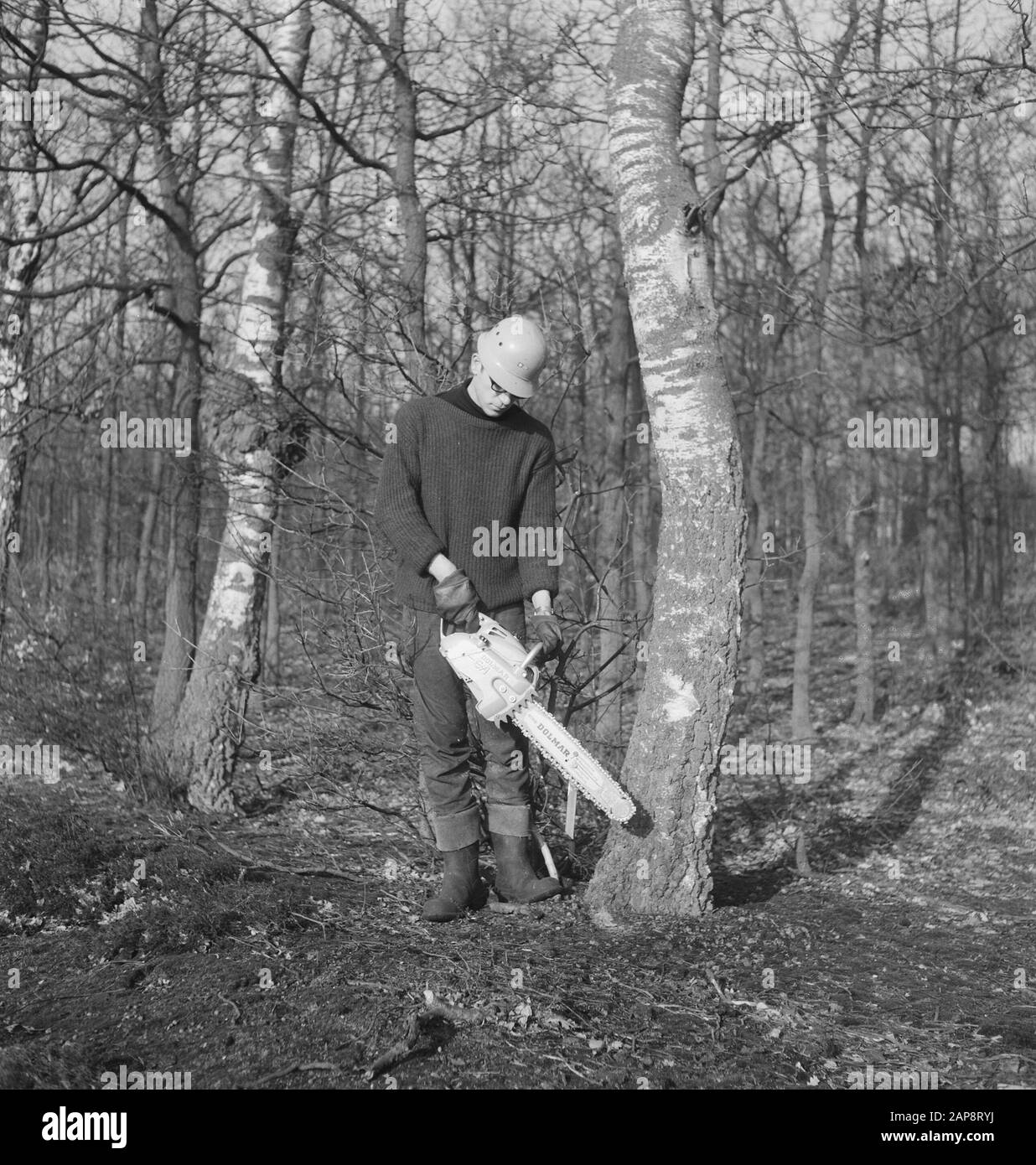Deforestation and its effects Black and White Stock Photos & Images - Alamy