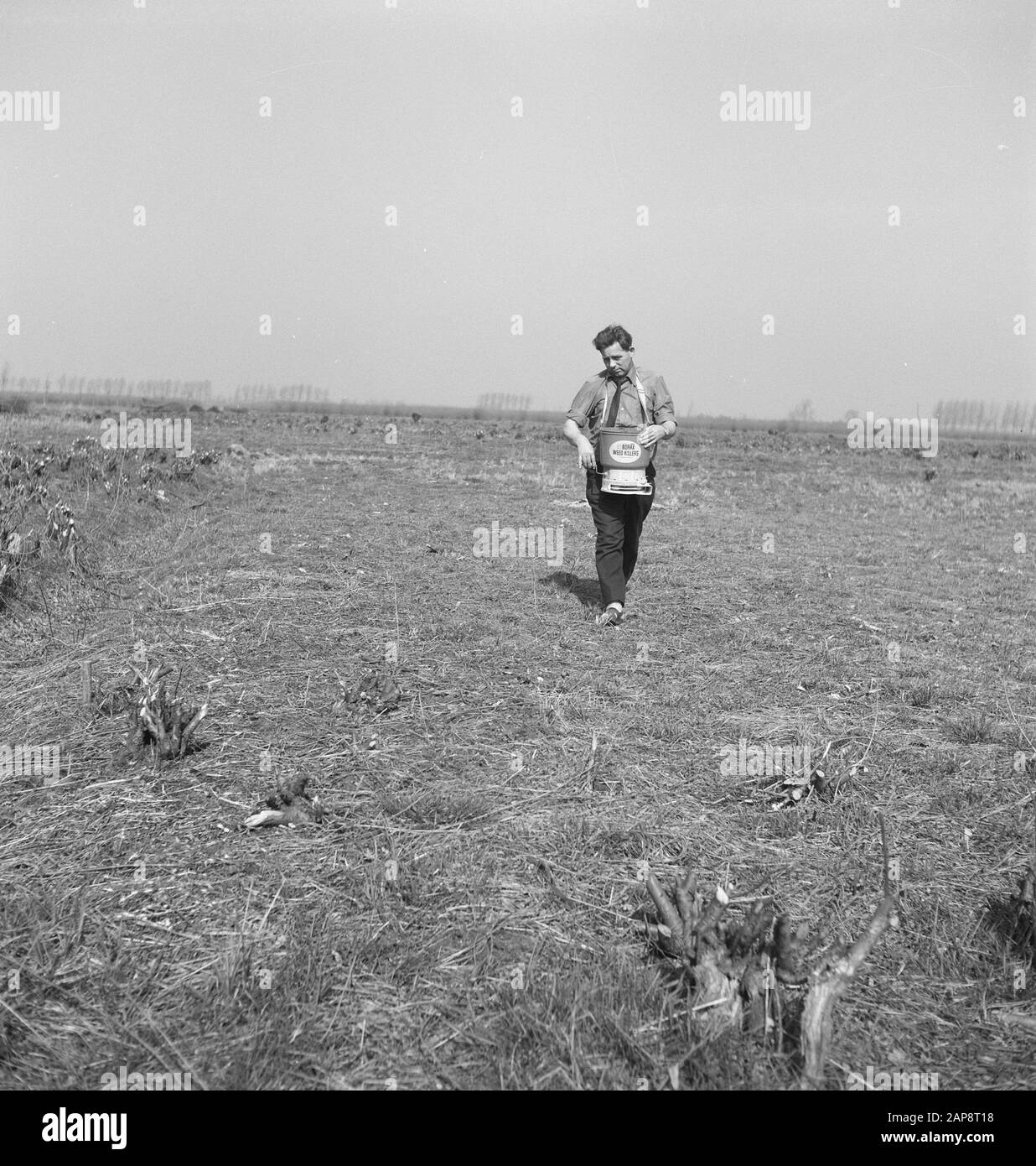 Straw agriculture crop Black and White Stock Photos & Images - Alamy