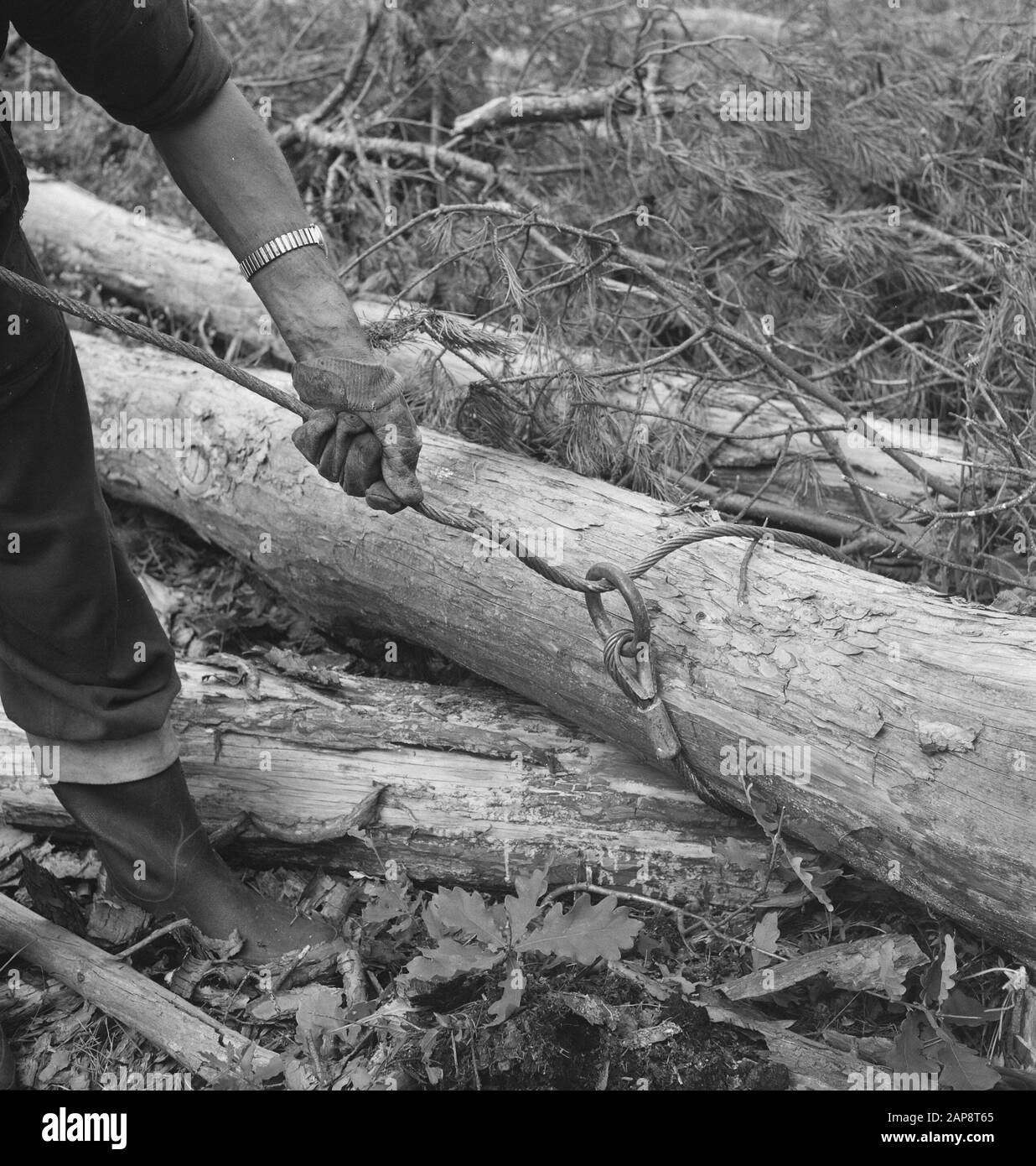 Tying cables hi-res stock photography and images - Alamy