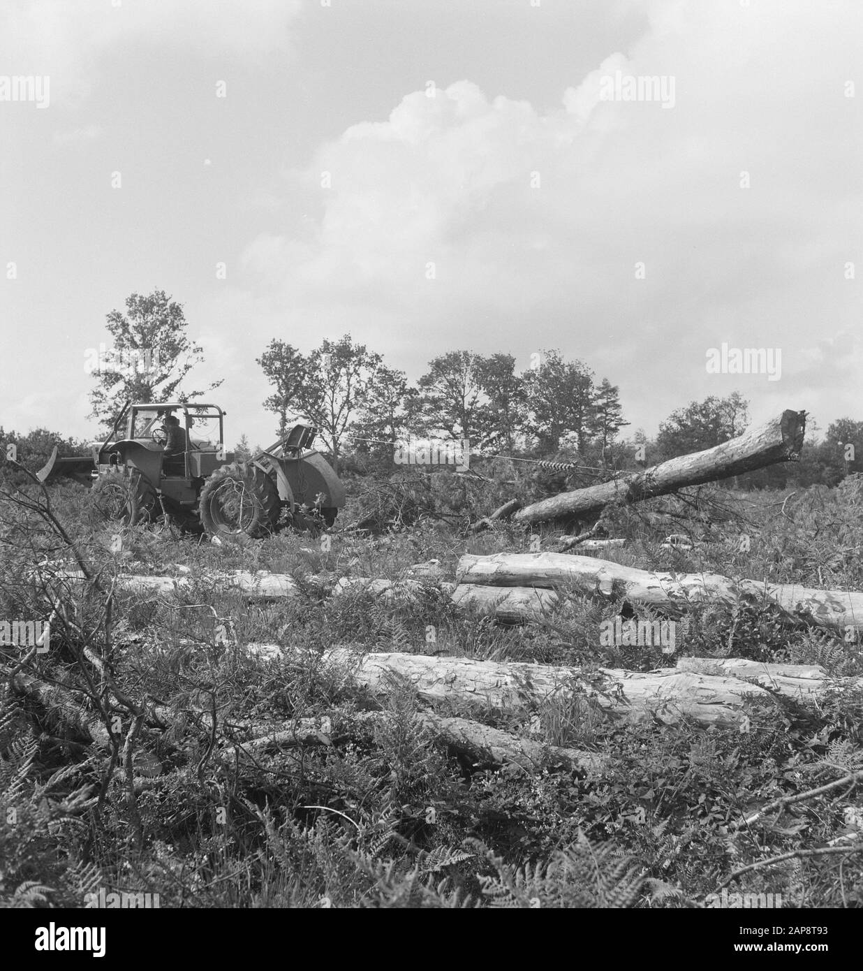 Towing tractors hi-res stock photography and images - Alamy
