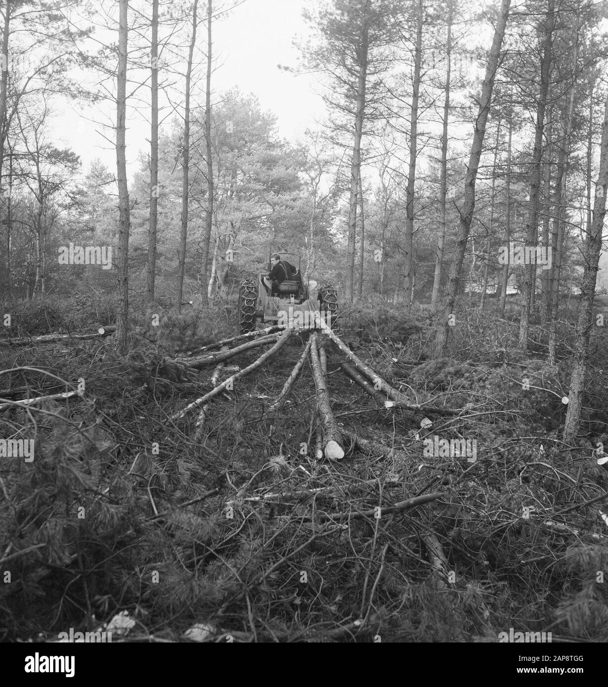 Tree machinery cutting Black and White Stock Photos & Images - Alamy