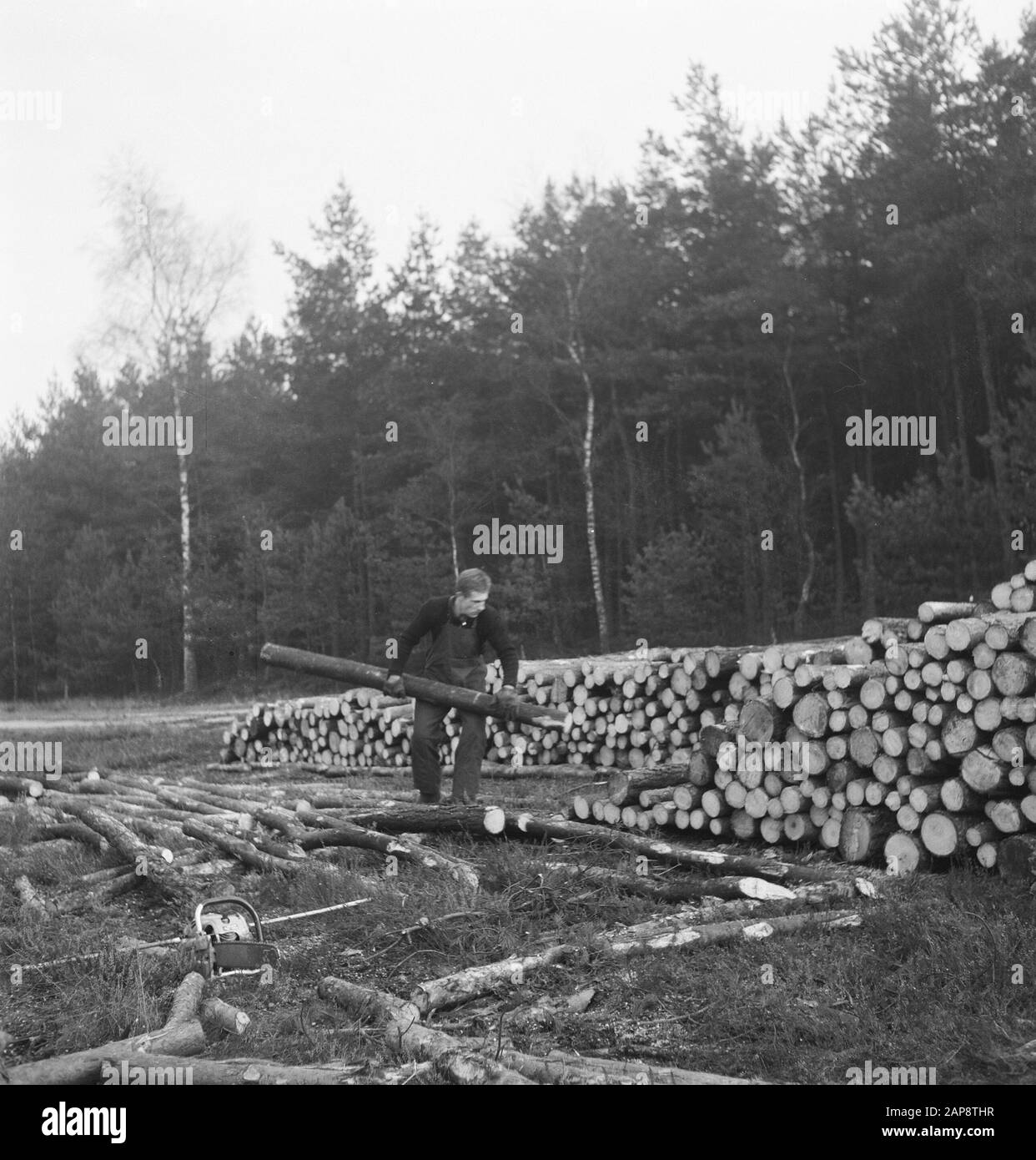 forestry, workers, logs, work, wood storage Date: undated Keywords ...