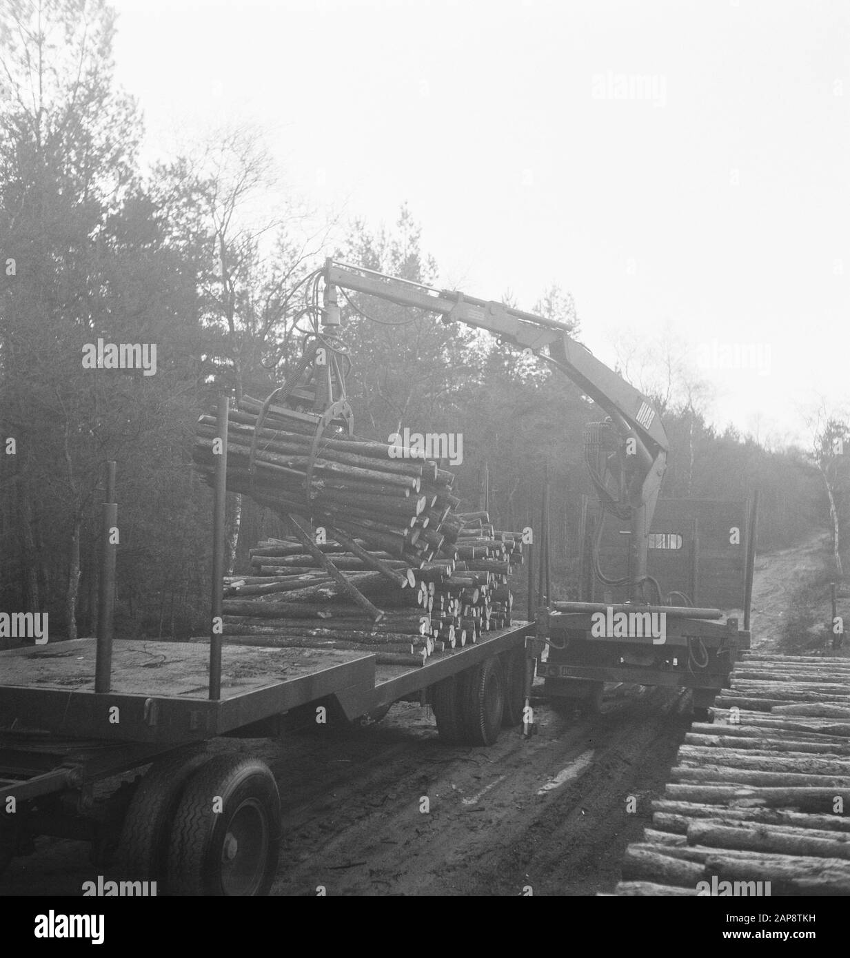 forestry, workers, logs, tow trucks, loading work Date: undated ...