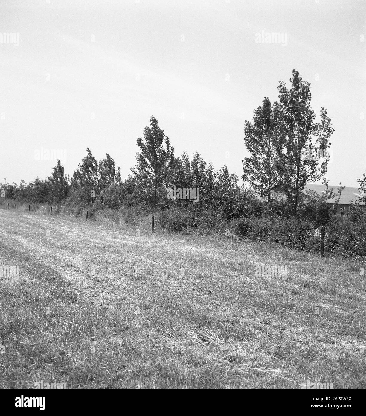 trees, shrubs, buildings, meadows, fences Date: undated Keywords ...