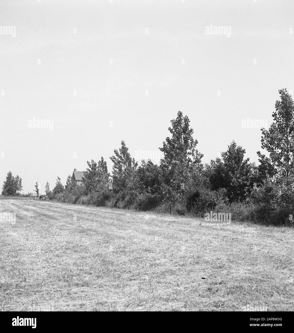 trees, shrubs, buildings, meadows Date: undated Keywords: trees ...