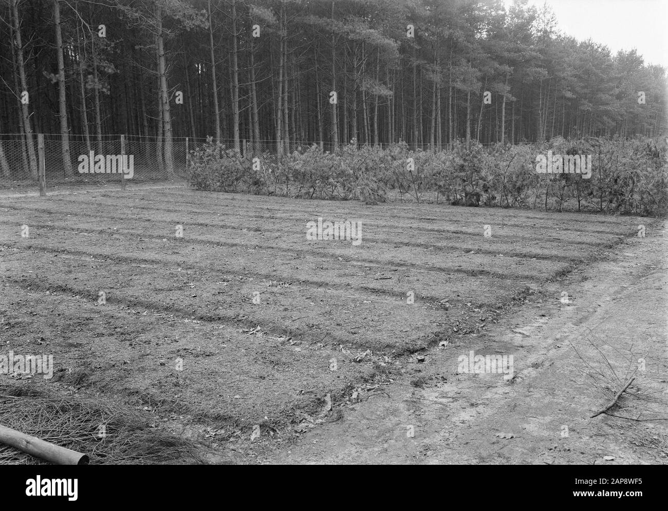 Seedbeds hi-res stock photography and images - Alamy