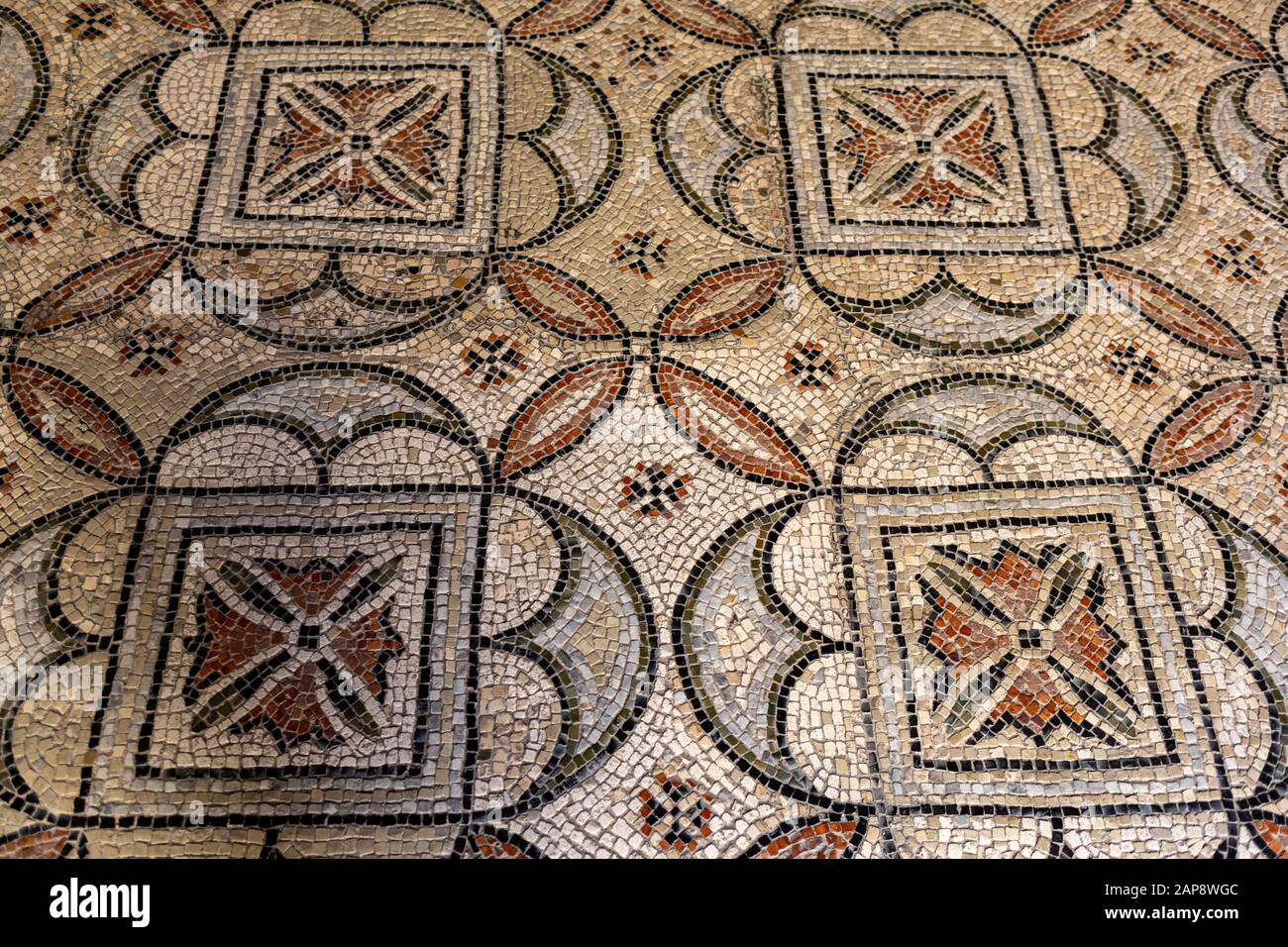 Ravenna, Italy - Sept 11, 2019: Floor mosaic in Basilica of San Vitale ...