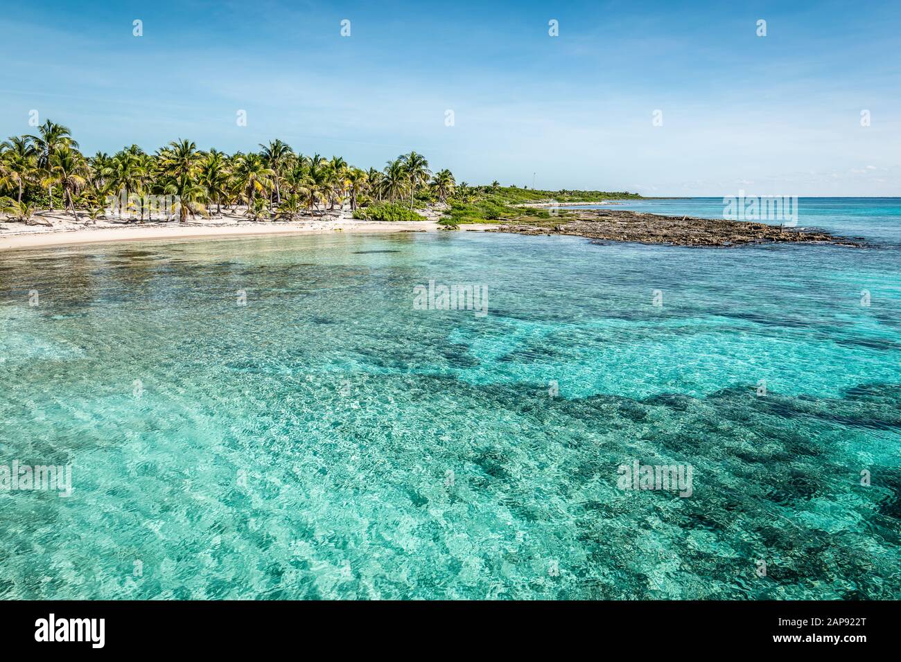Tropical beach with palm trees and turquoise water at the port of Costa ...