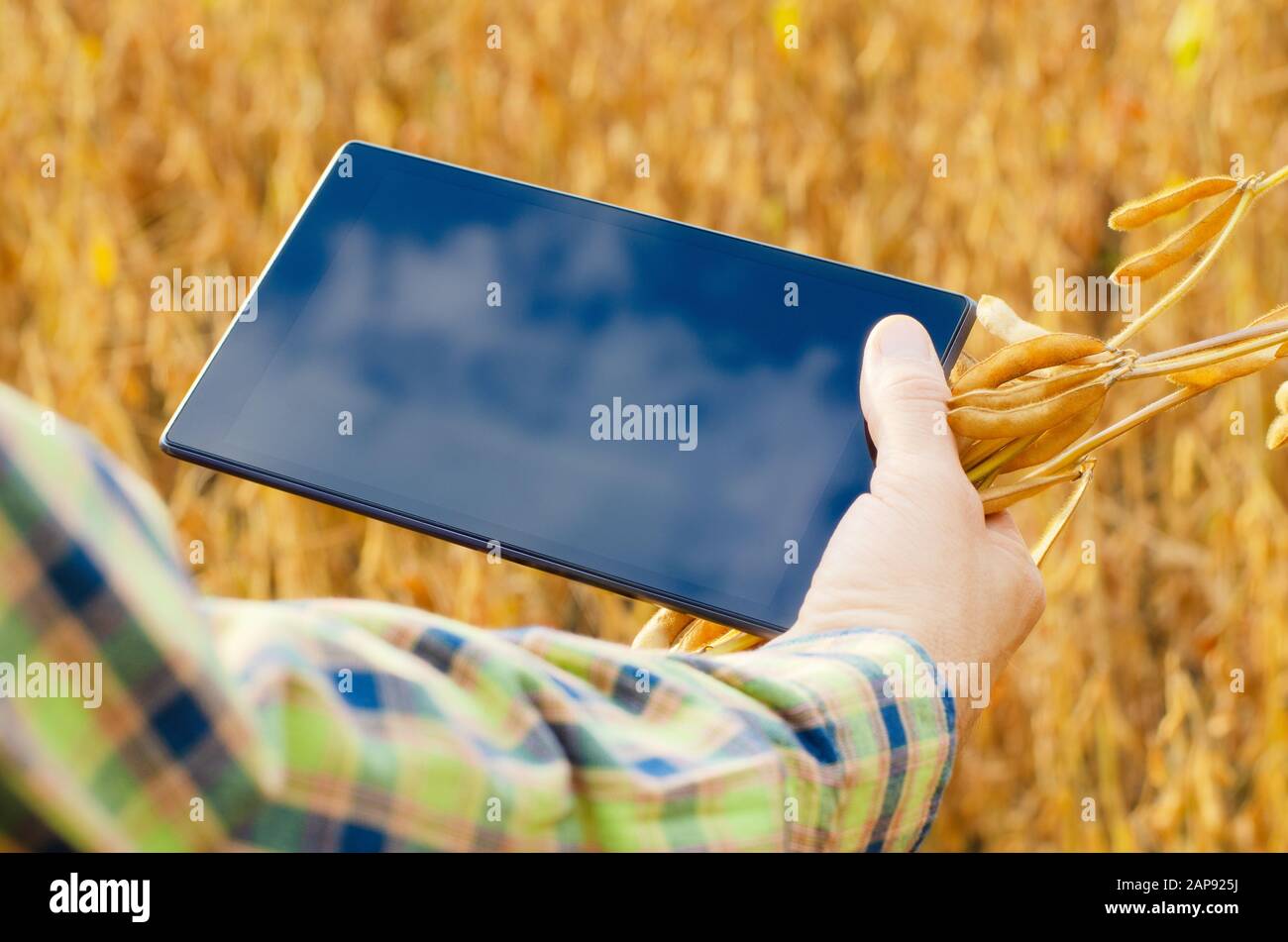 Agronomy background hi-res stock photography and images - Alamy