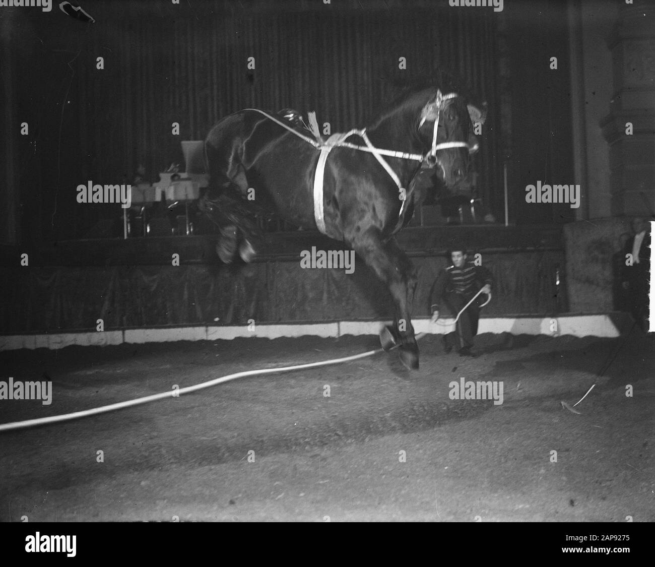 Strassburger circus hi-res stock photography and images - Alamy