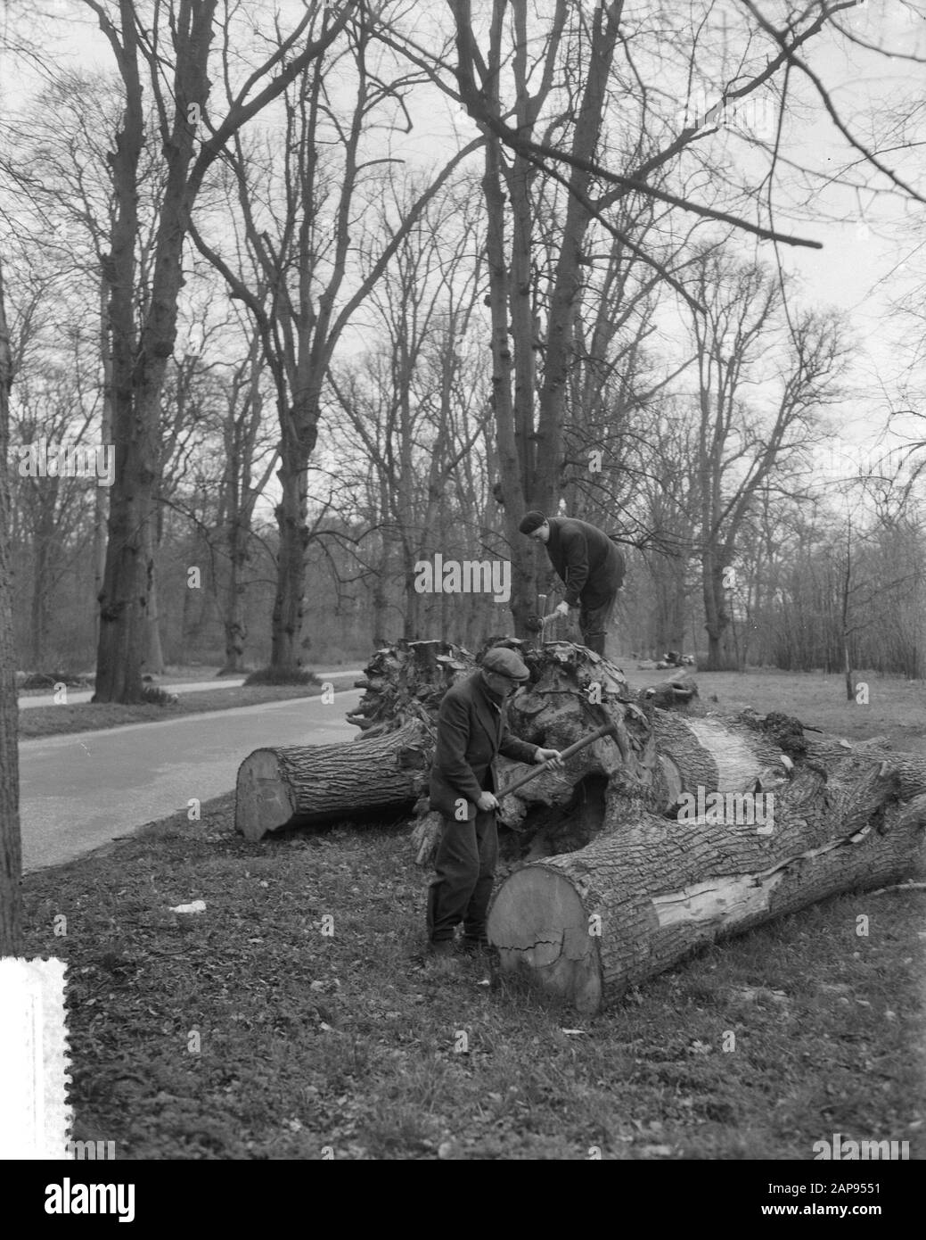 The haarlemmerhout Black and White Stock Photos & Images - Alamy