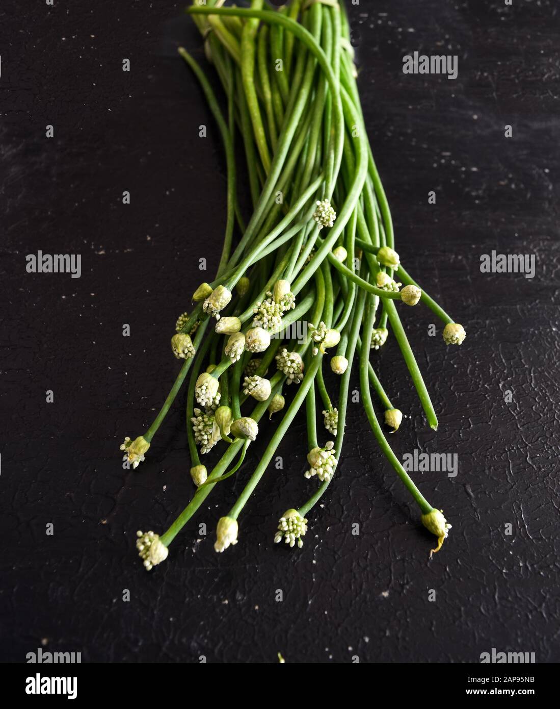 Onion flowers hi-res stock photography and images - Alamy