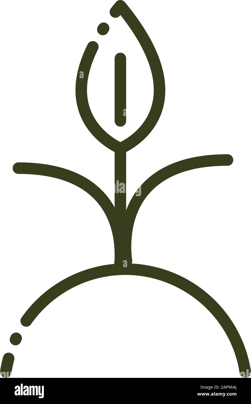 growth sprout floral nature line design vector illustration Stock ...