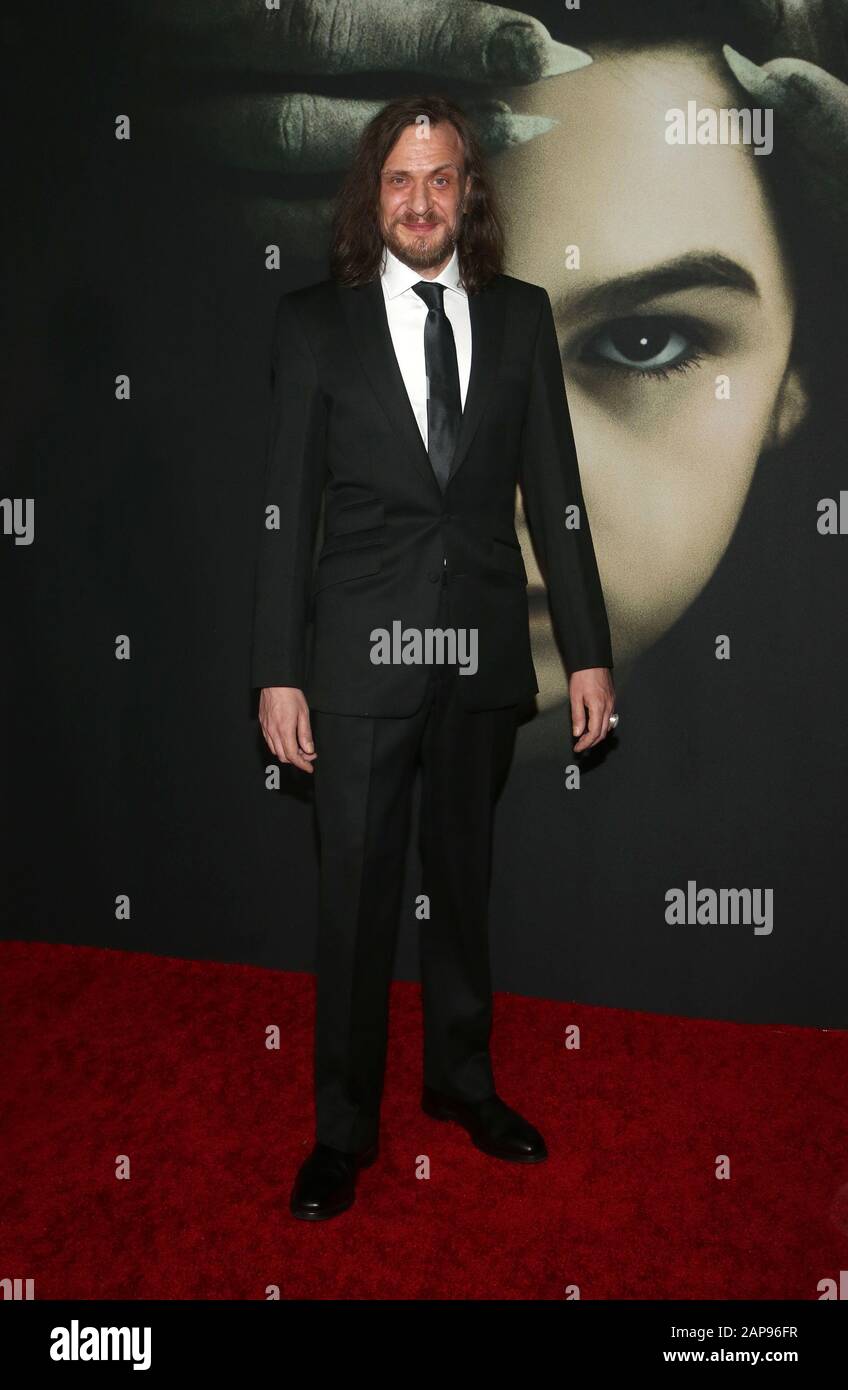 Hollywood, Ca. 21st Jan, 2020. Niall Greig Fulton, at the Premiere Of ...