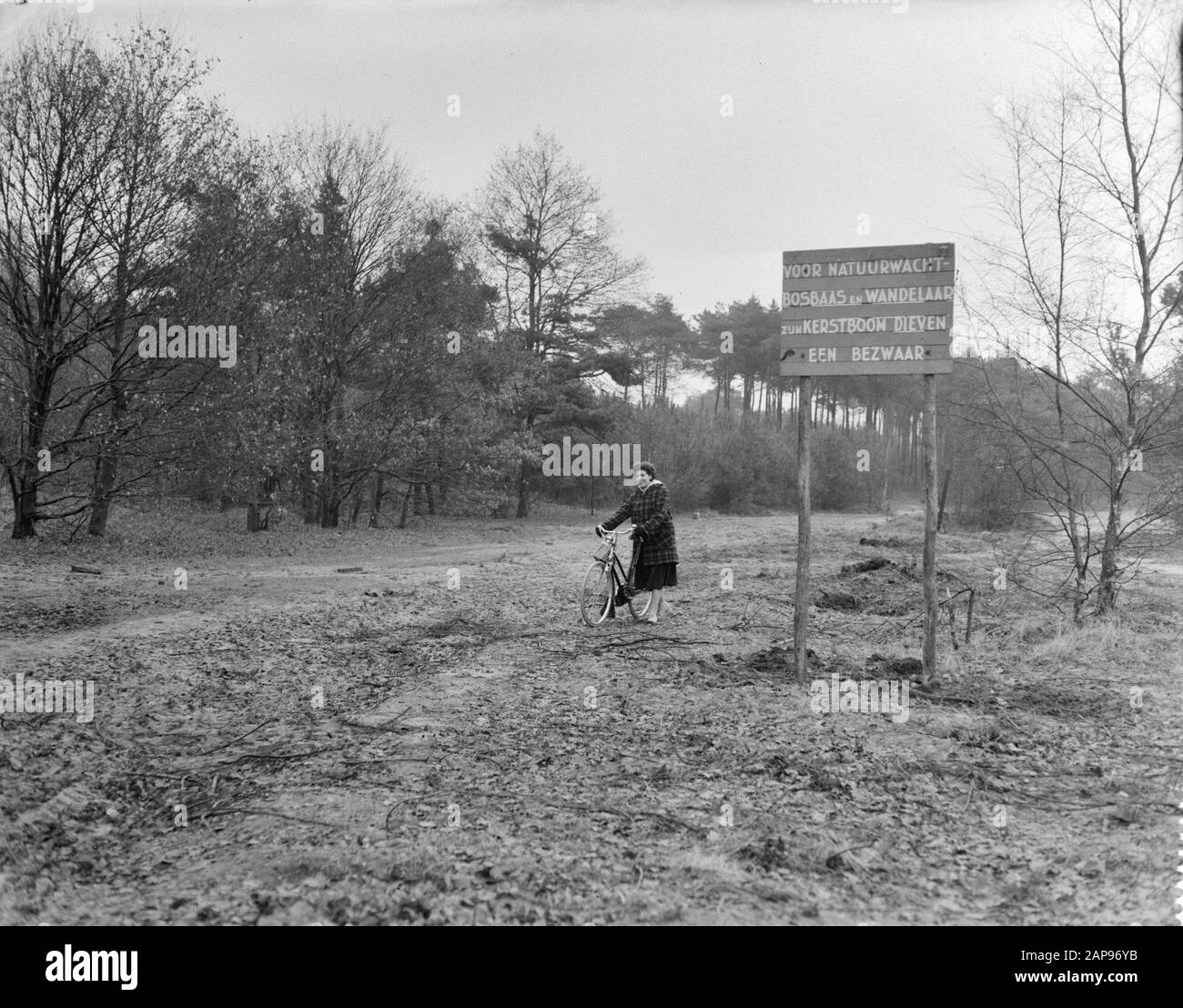 Signs with warnings against theft of Christmas trees Date: December 17 ...