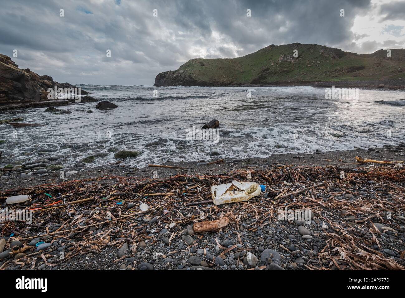 plastic pollution mixed with dried seaweed on paradisaical beaches in ...