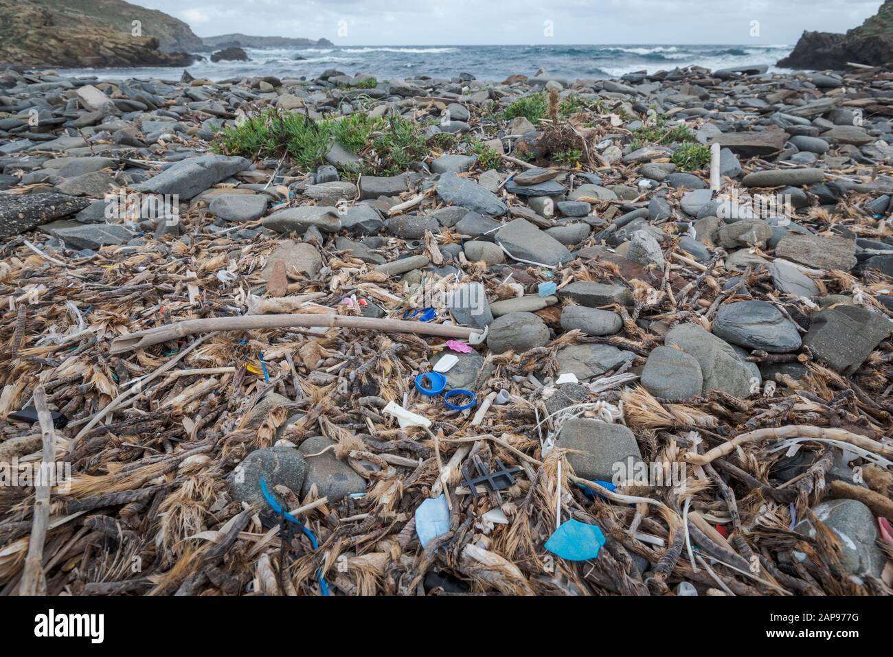 plastic pollution mixed with dried seaweed on paradisaical beaches in ...