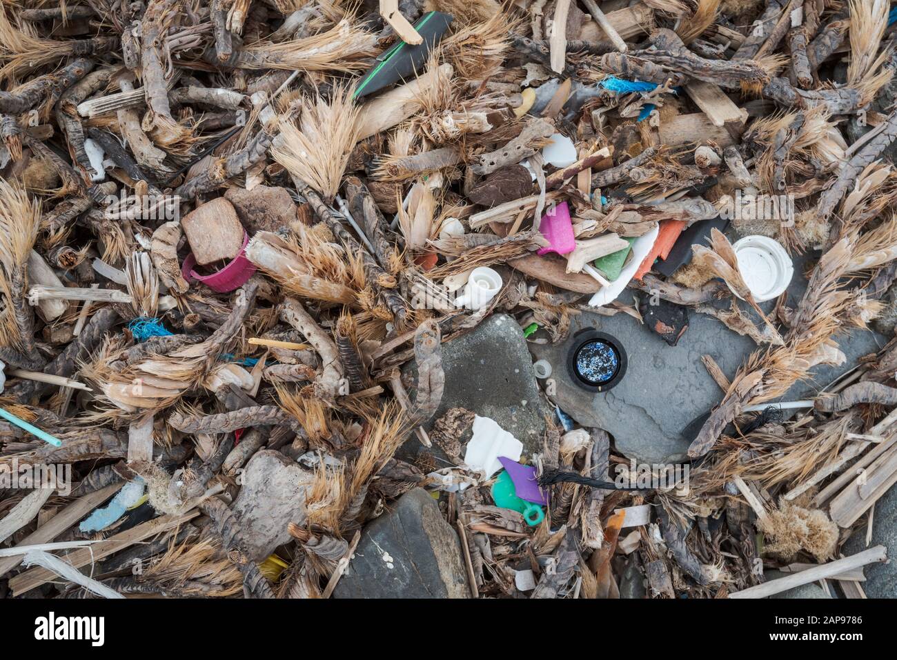 plastic pollution mixed with dried seaweed on paradisaical beaches in ...