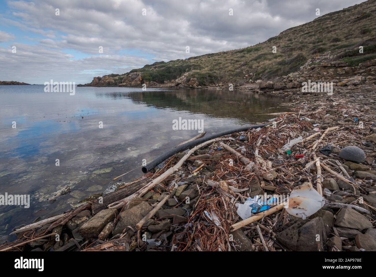 plastic pollution mixed with dried seaweed on paradisaical beaches in ...