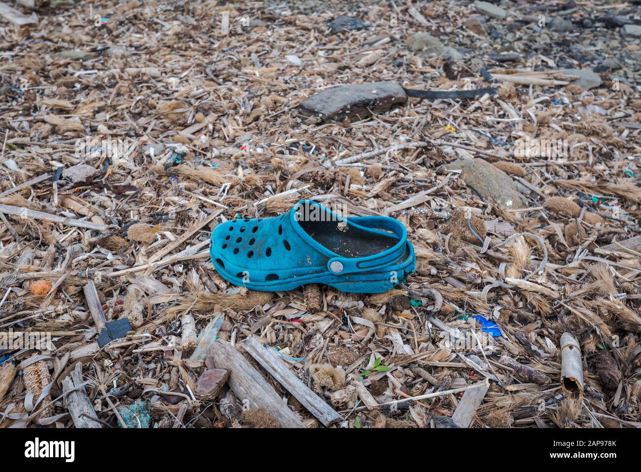 plastic pollution mixed with dried seaweed on paradisaical beaches in ...