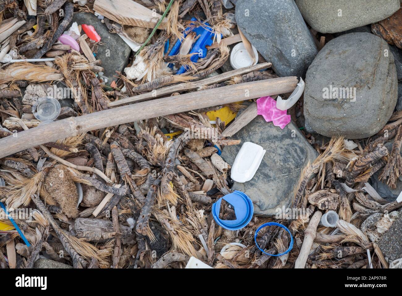 plastic pollution mixed with dried seaweed on paradisaical beaches in ...