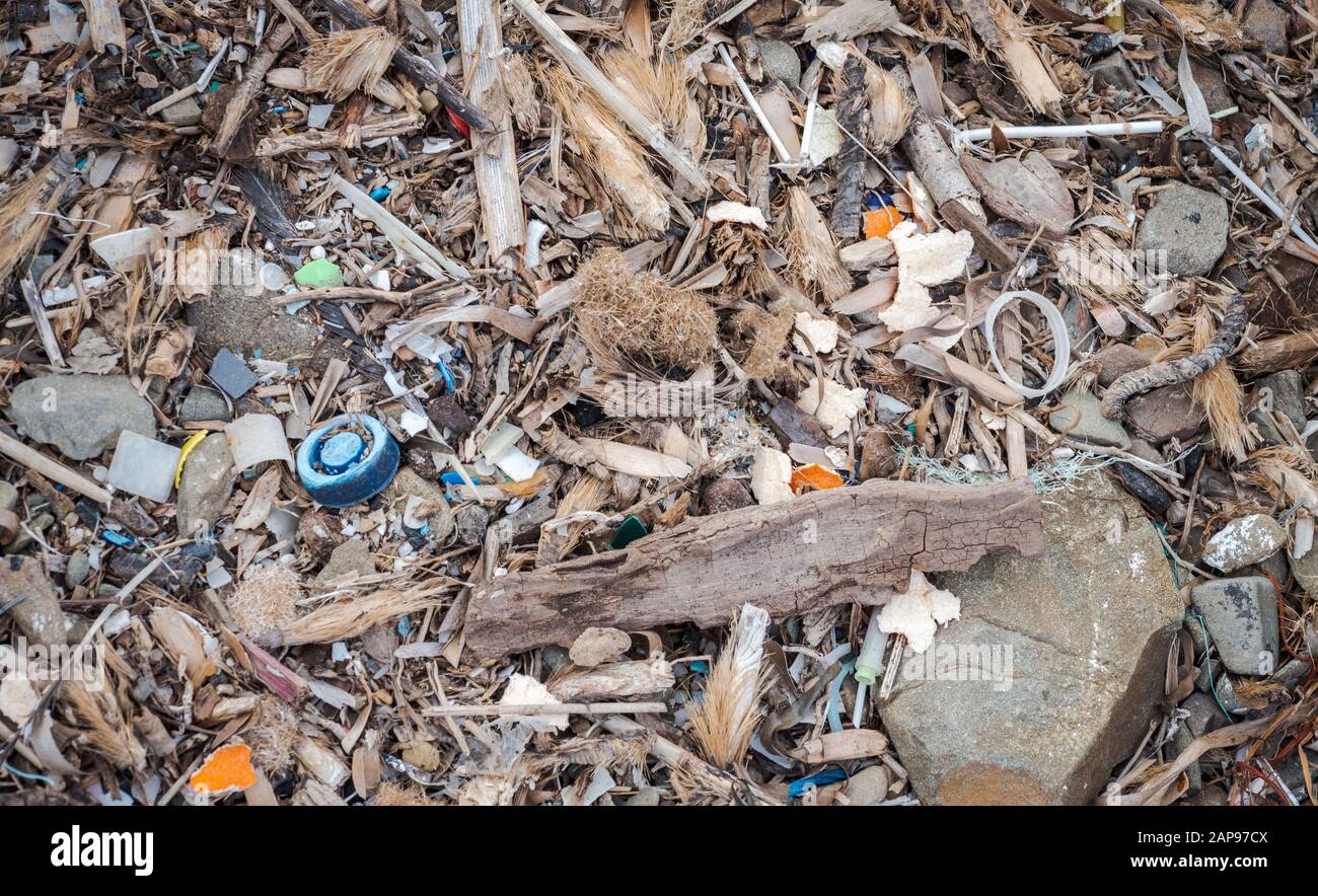 plastic pollution mixed with dried seaweed on paradisaical beaches in ...