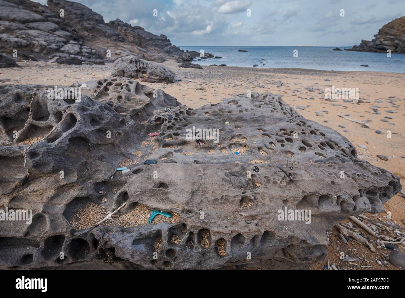 plastic pollution mixed with dried seaweed on paradisaical beaches in ...