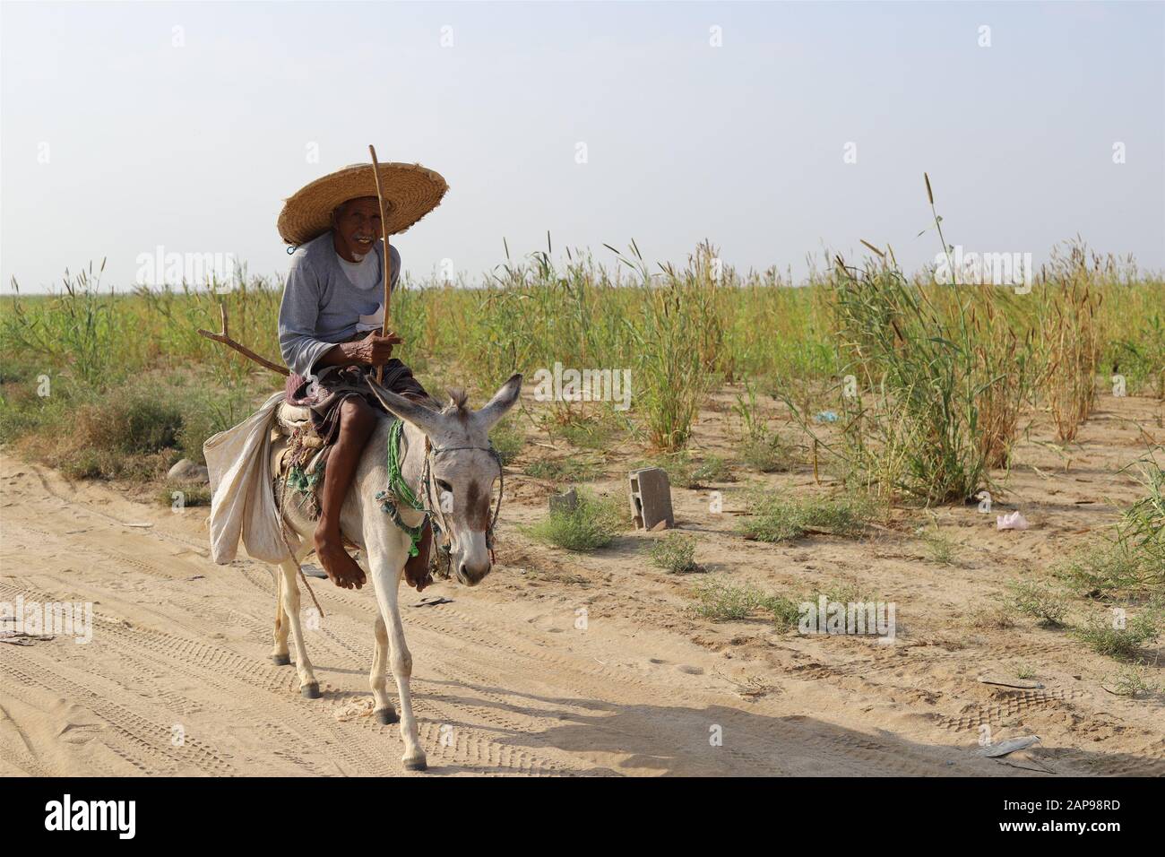 Hajjah, Yemen. 21st Jan, 2020. A Yemeni displaced man rides a donkey to ...