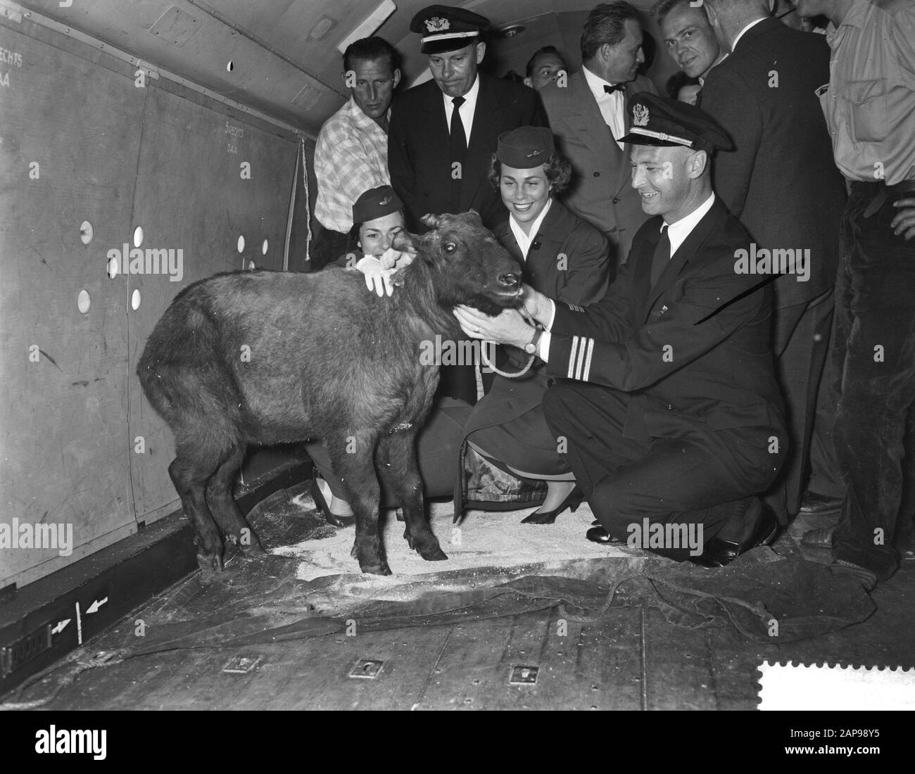 Schiphol operations Black and White Stock Photos & Images - Alamy