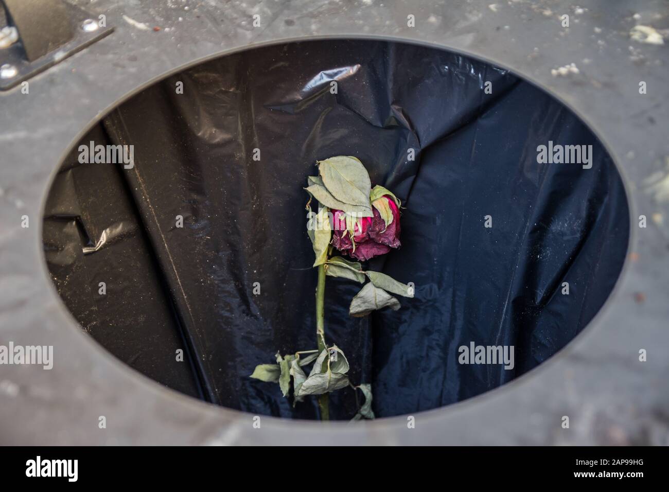 Cartoon dustbin hi-res stock photography and images - Alamy