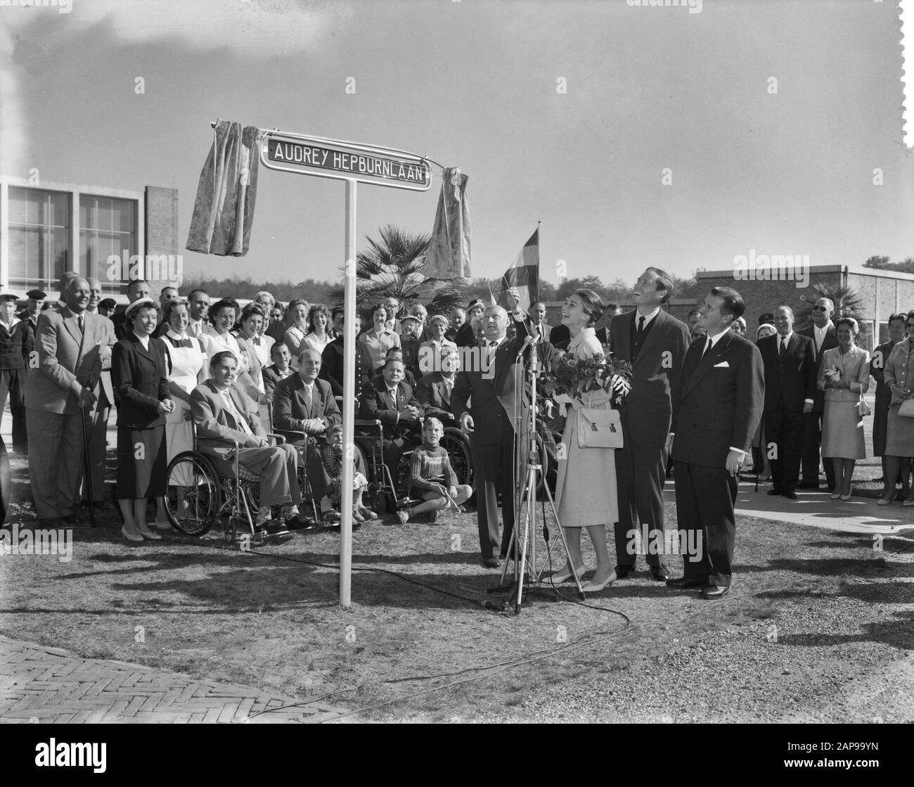 Bnmo hi-res stock photography and images - Alamy