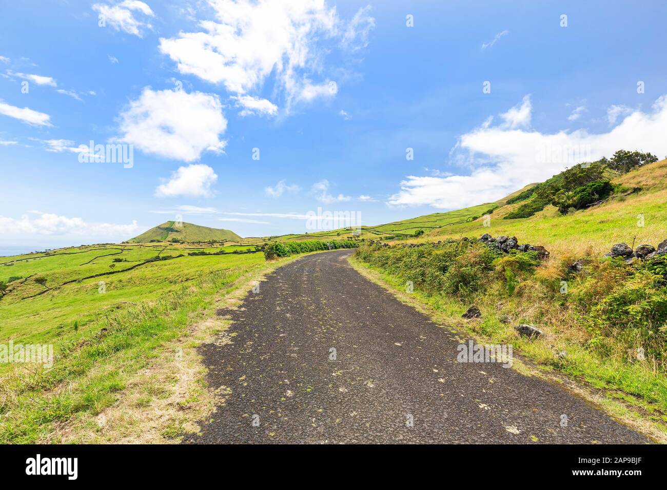 Azores hydrangea farm hi-res stock photography and images - Alamy