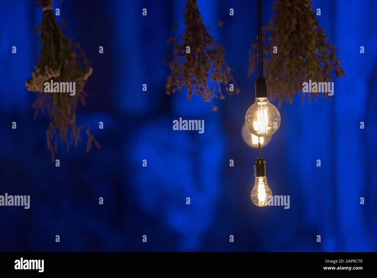 Light bulbs in dark bulb hi-res stock photography and images - Alamy