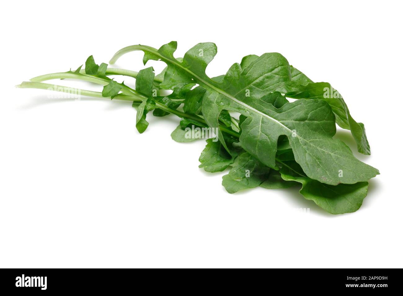 Bunch of fresh rucola isolated on white background Stock Photo - Alamy