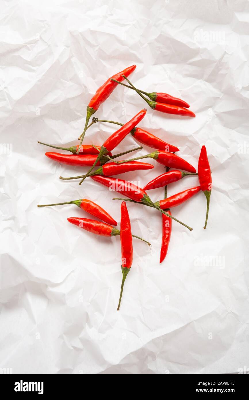 Tabasco chilli pepper mexico hi-res stock photography and images - Alamy