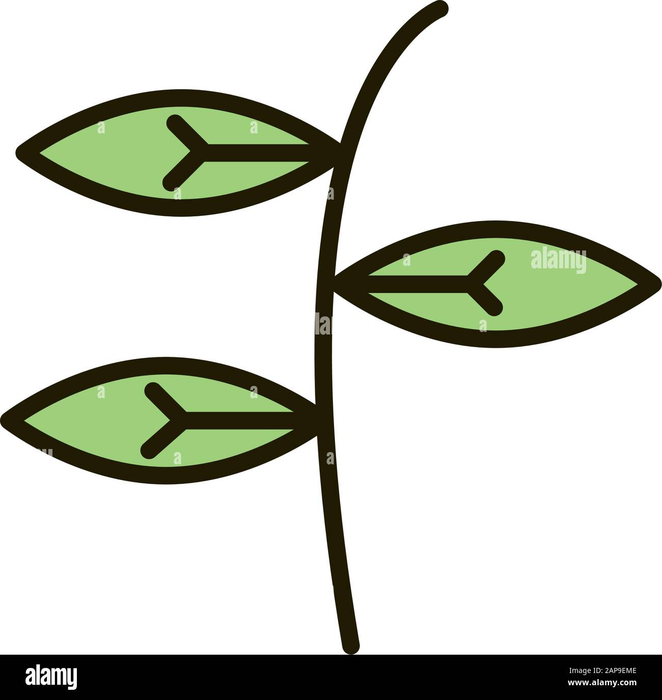 branch leaves foliage nature drawing vector illustration Stock Vector ...