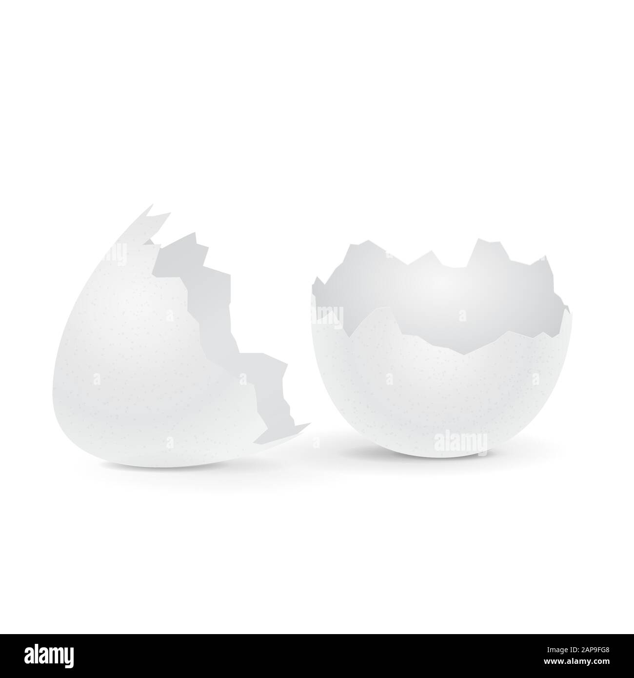 Broken Egg Shell Art