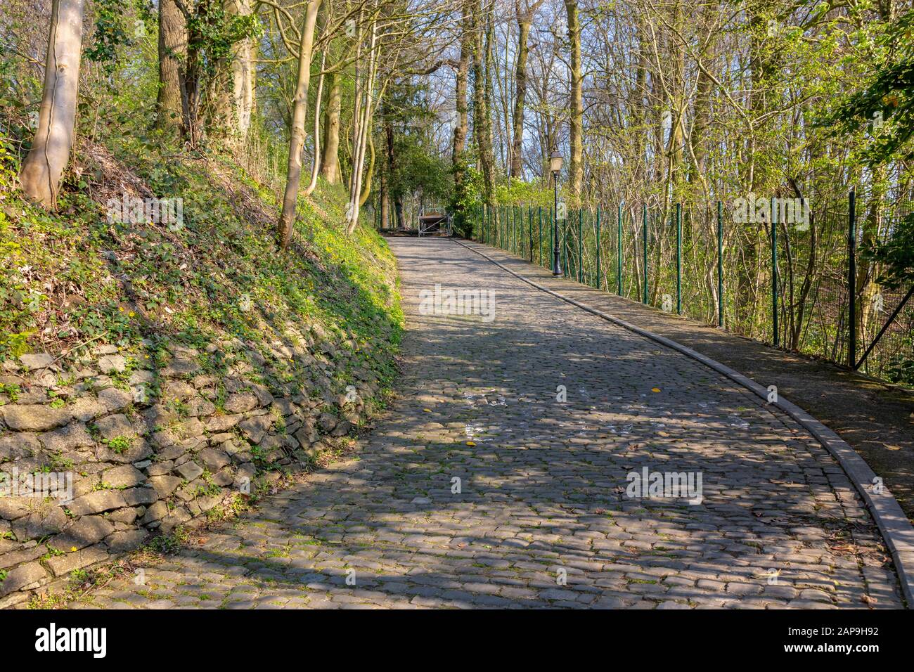 Image of the famous cobblestone road Muur van Geraardsbergen located in ...