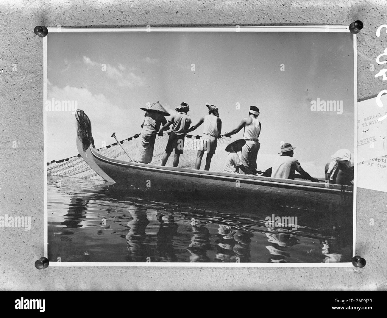 Netherlands Indies Civil Administration, Ambon, November 1945 ...