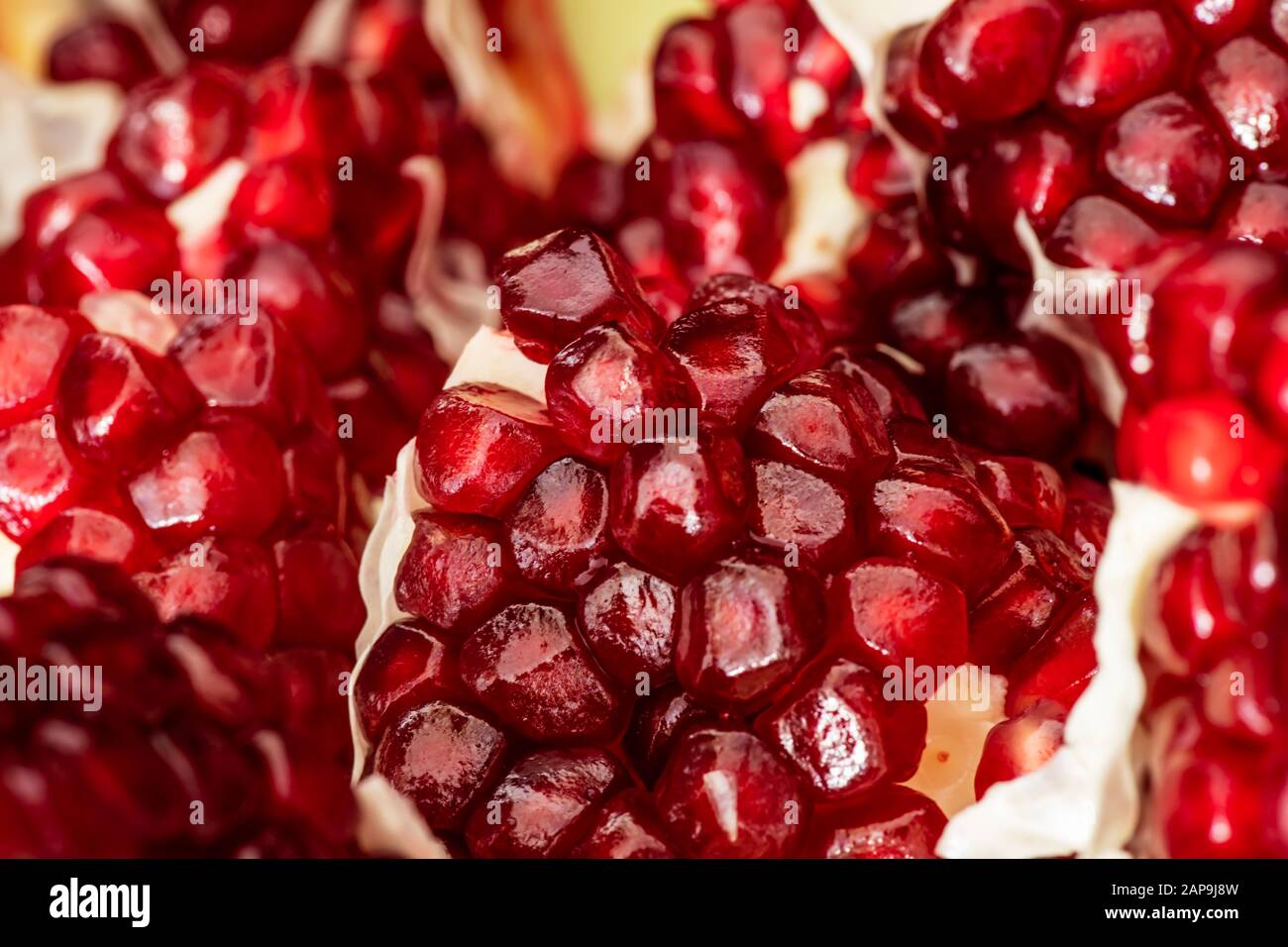 Cross section pomegranate hi-res stock photography and images - Alamy