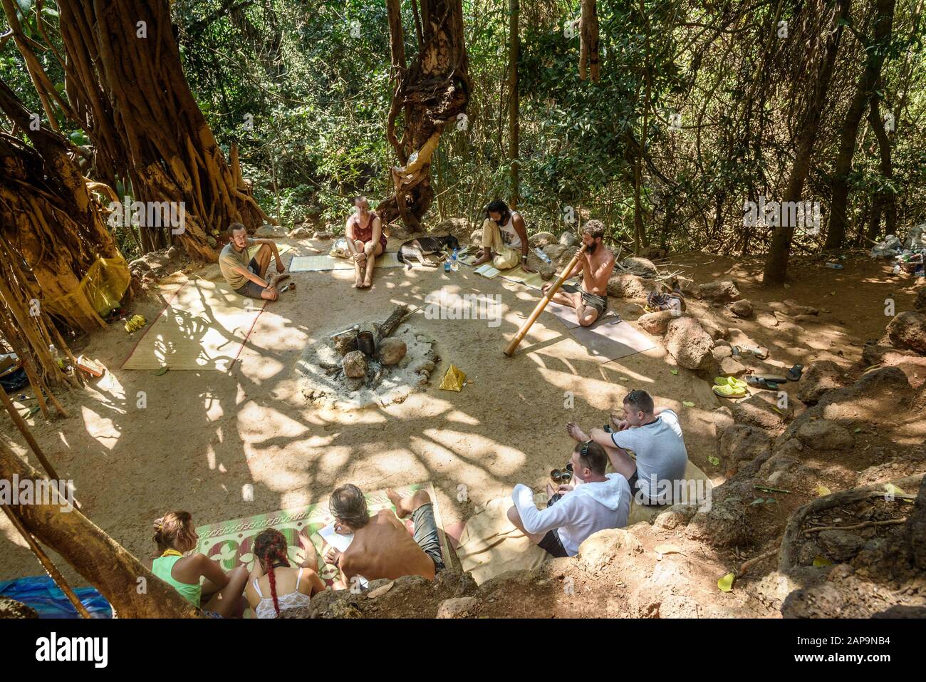People under big banyan tree in Arambol. Goa Stock Photo - Alamy
