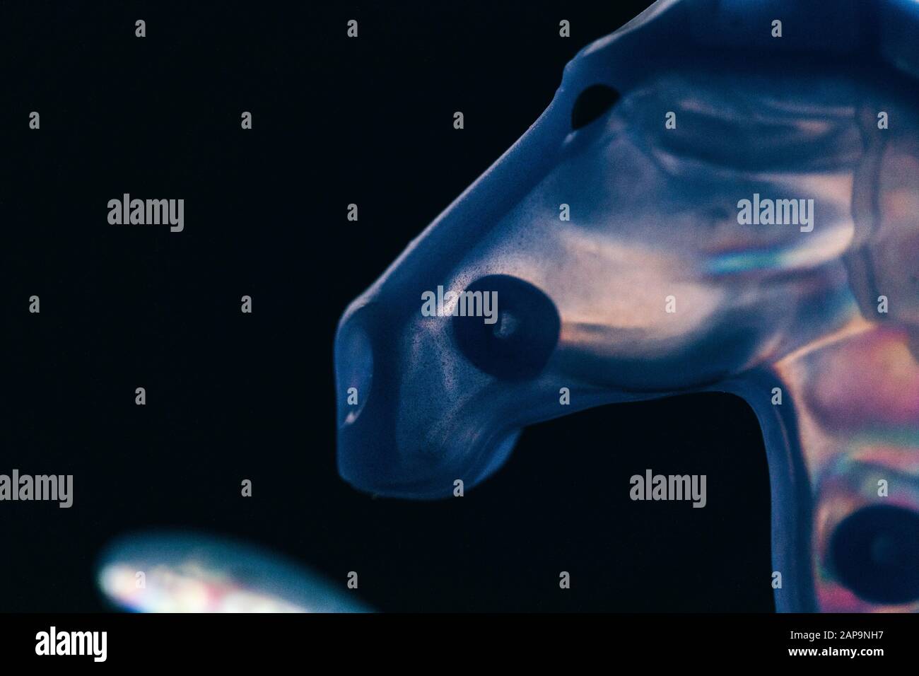 Equine plastic translucent animal horse silhouette on a cross ...