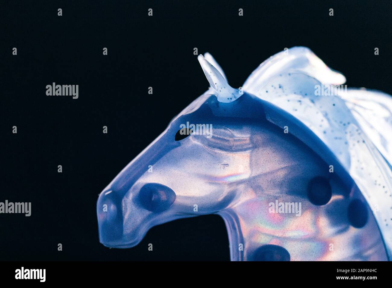 Equine plastic translucent animal horse silhouette on a cross ...