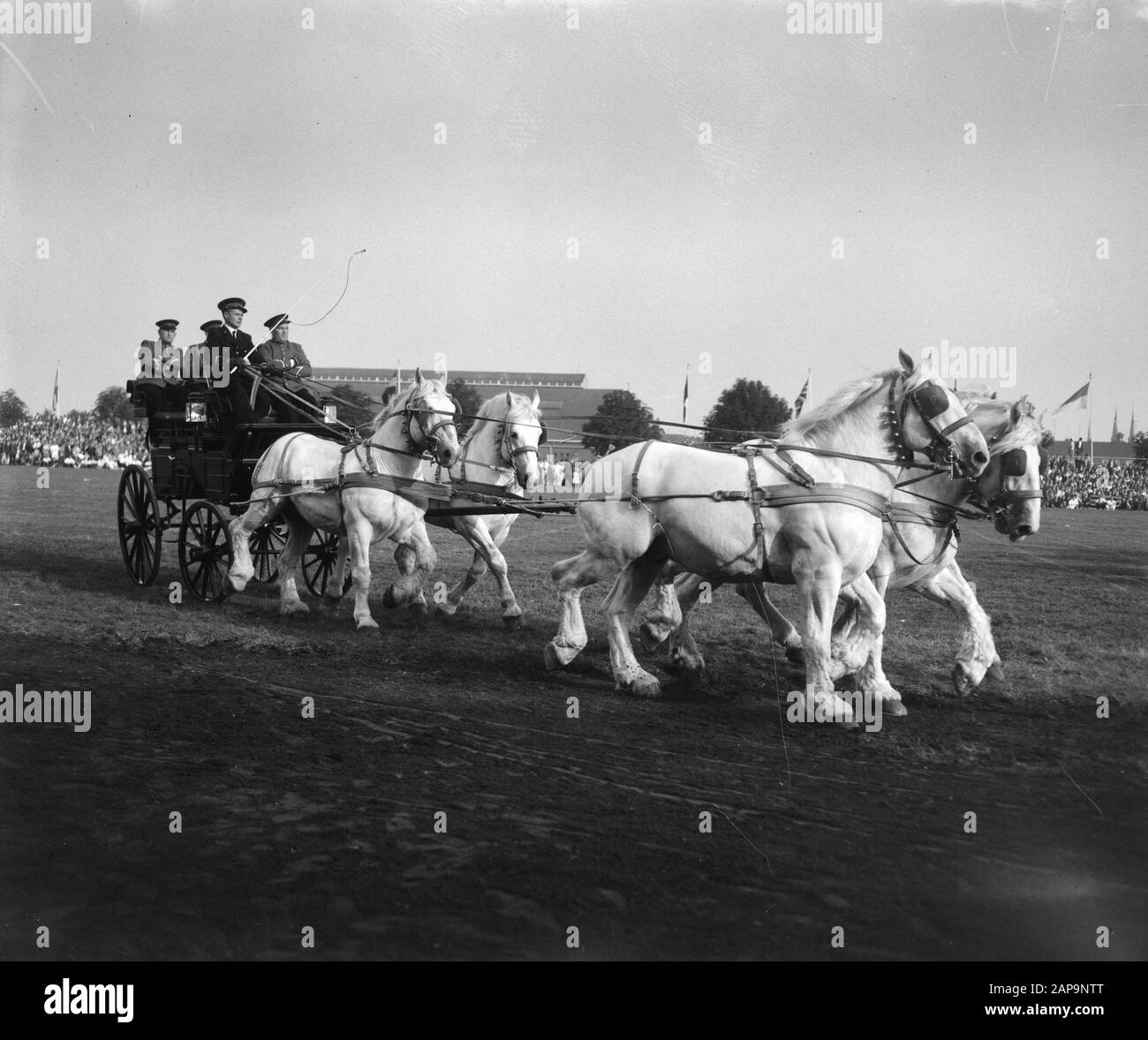 30 th national draft horses exhibition hi-res stock photography and ...