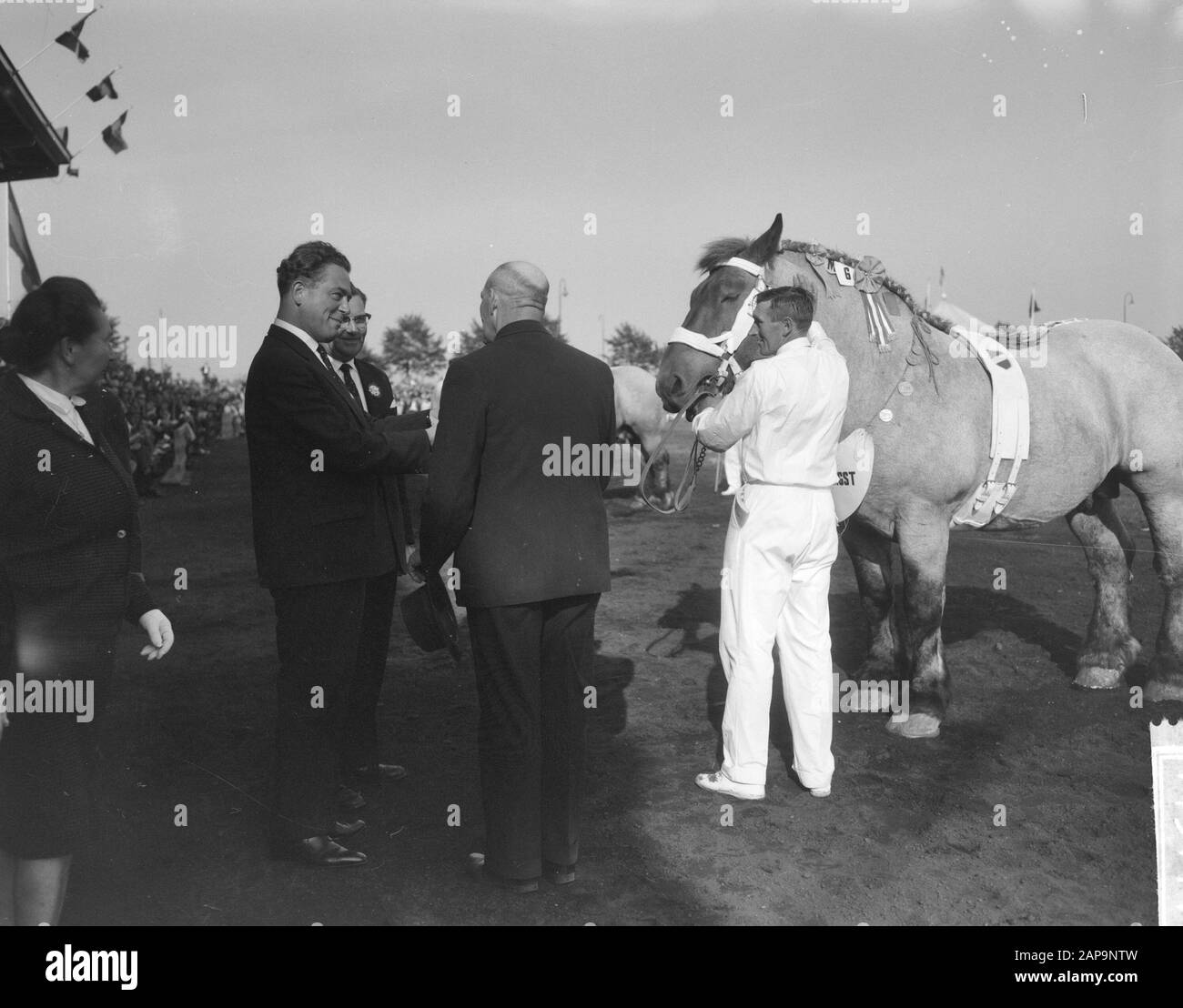 30 th national draft horses exhibition hi-res stock photography and ...